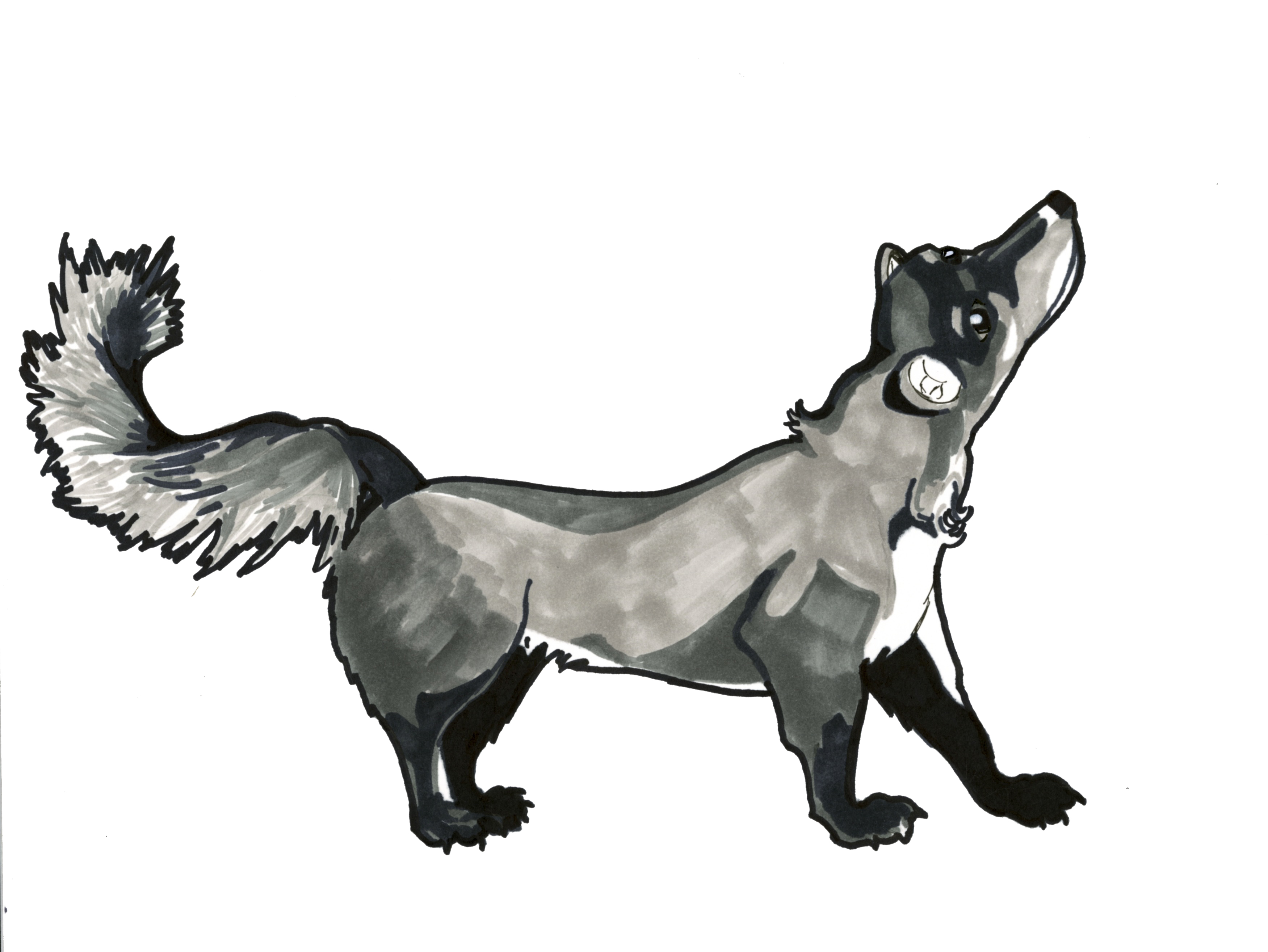 Nine Adorable Pets In Space Illustrated | Veronica Scott